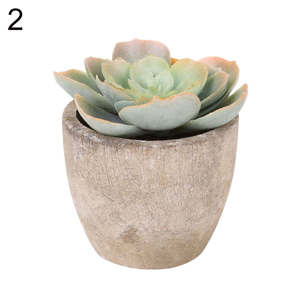 Small Artificial Succulent Plants Mini For Shelf Kitchen Counter Office ...