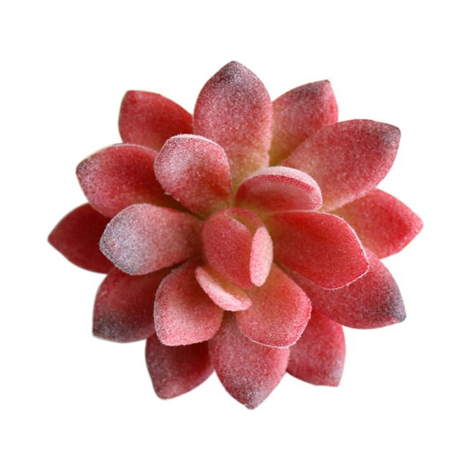 Small Artificial Succulent Plants Unpotted Fake Cactus Flocked Stems ...
