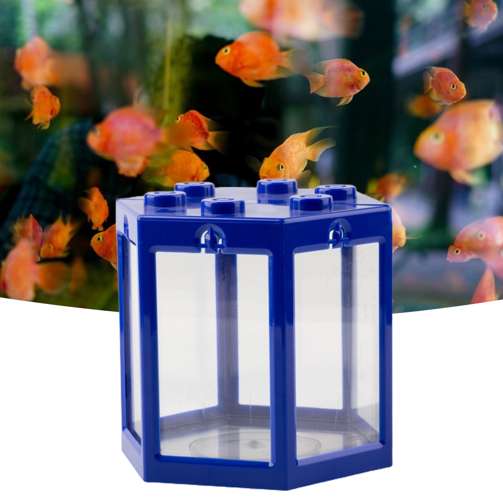Small Beta Fish Tanks, Stackable Mini Tank Aquarium Starter Kits, No ...