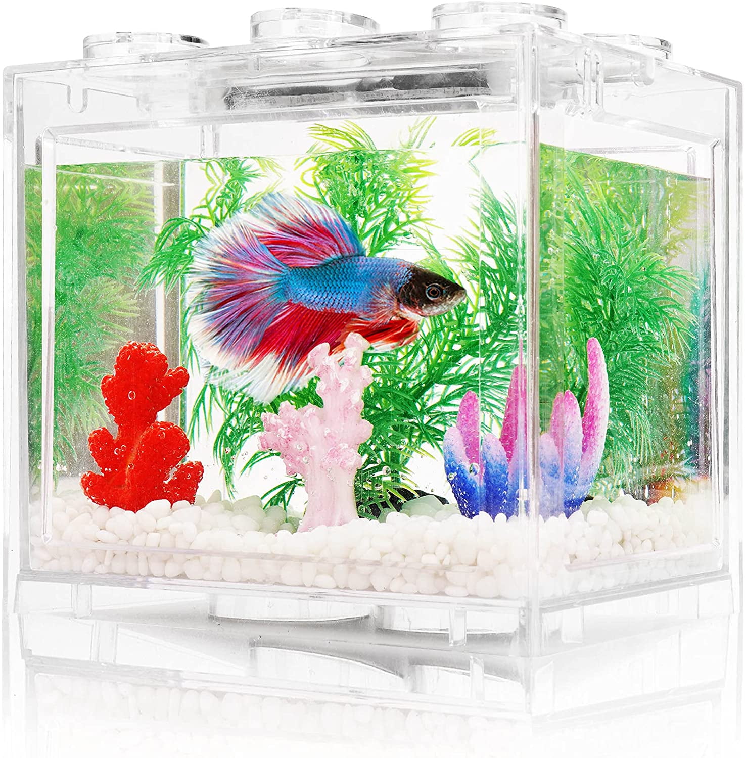 Small Betta Fish Tank, Aquarium Tank Kit with LED Lighting, 0.6 Gallon ...