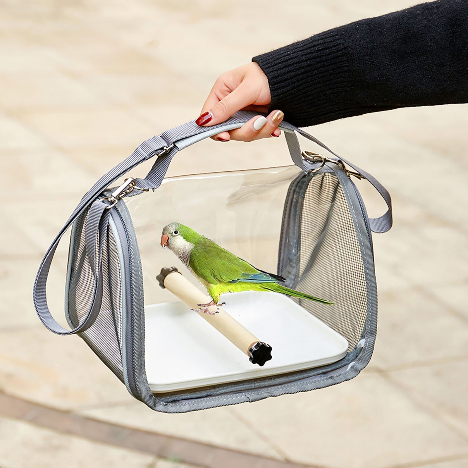Small Bird Carrier Cage - Portable Outdoor Travel Carrier for Conures ...