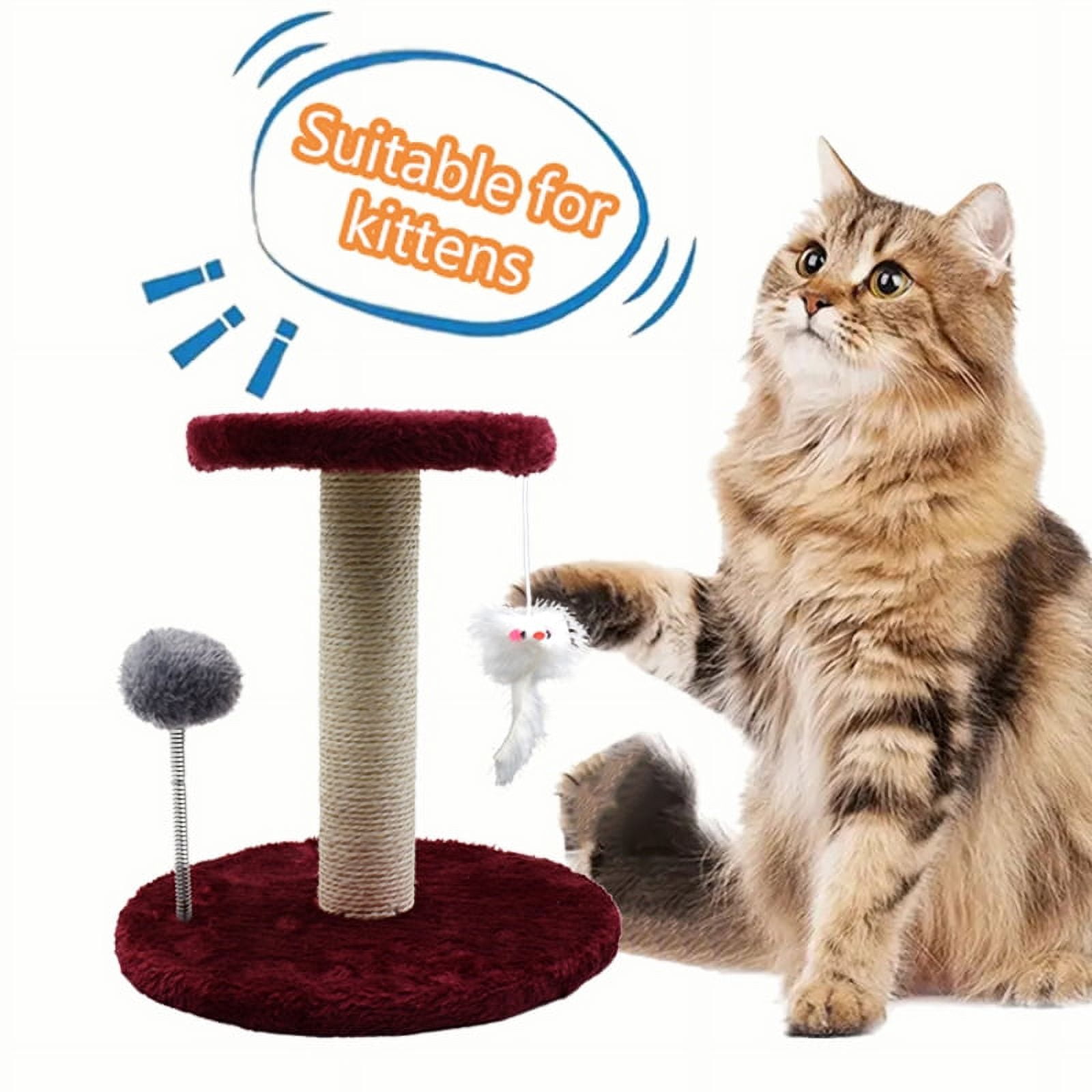 Small Cat Scratching Board Cat Toy Sisal Indoor Funny Cat Toys with ...