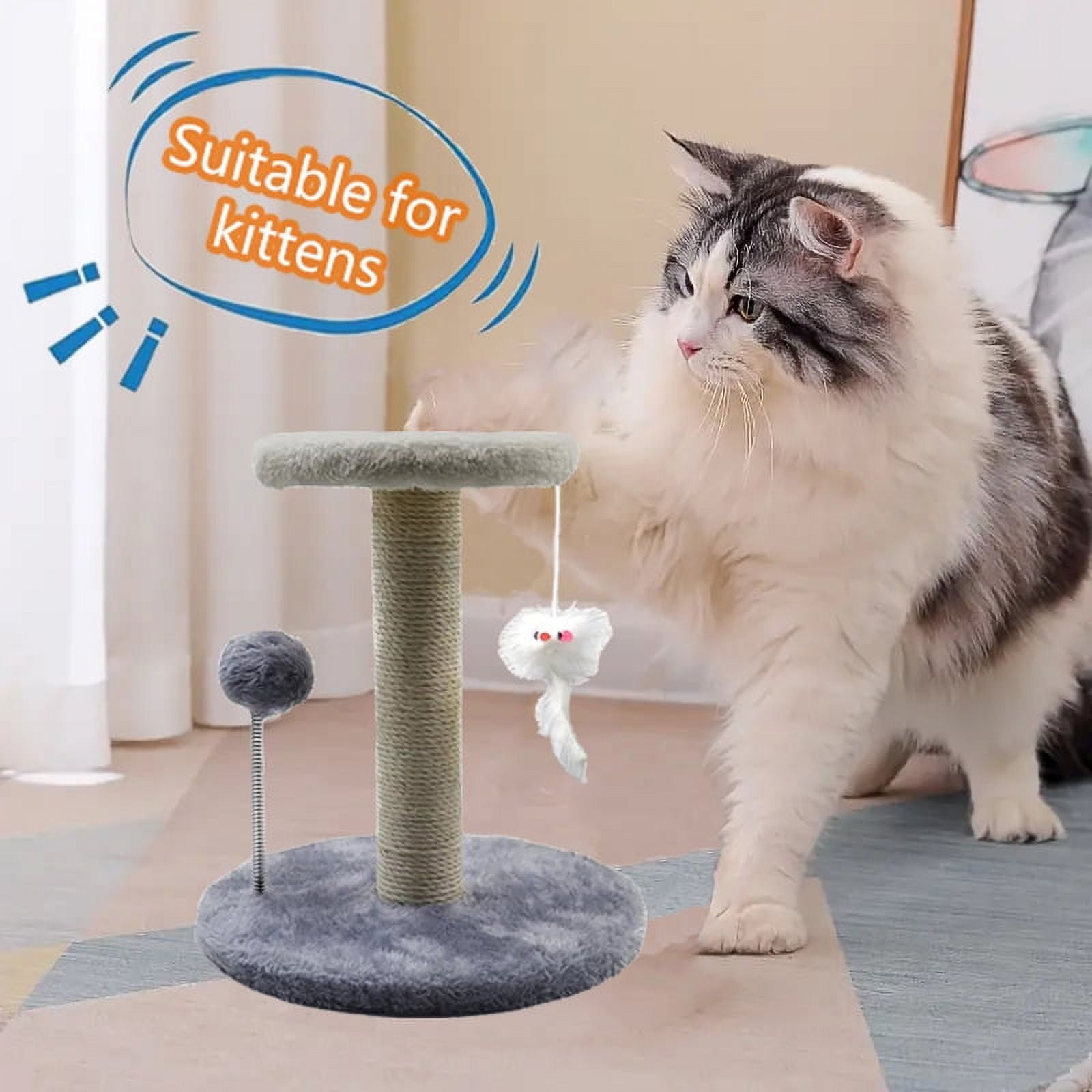 Small Cat Scratching Board Cat Toy Sisal Indoor Funny Cat Toys with ...