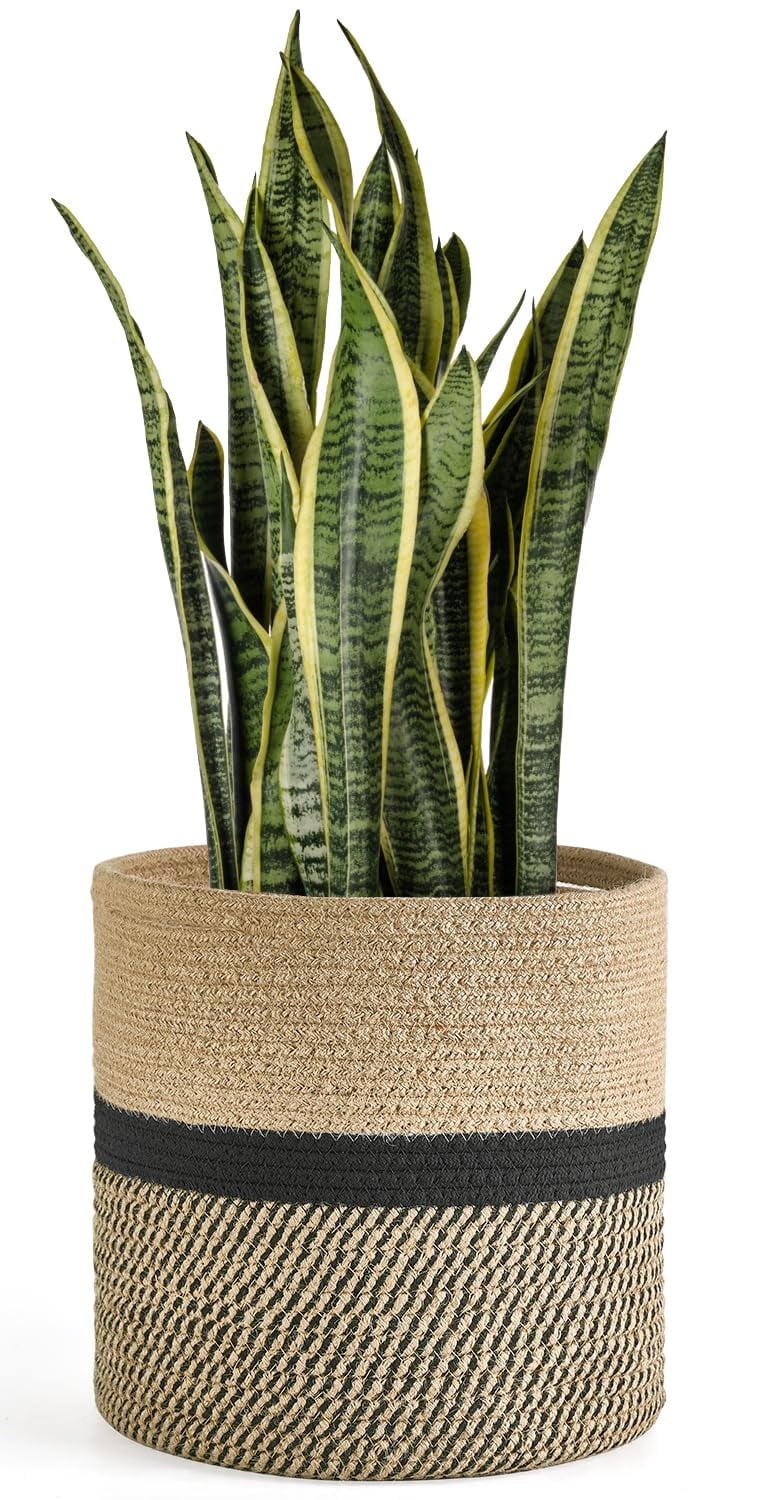 Small Cotton Rope Plant Basket Woven Plant Coiled Basket for Up to 8 ...