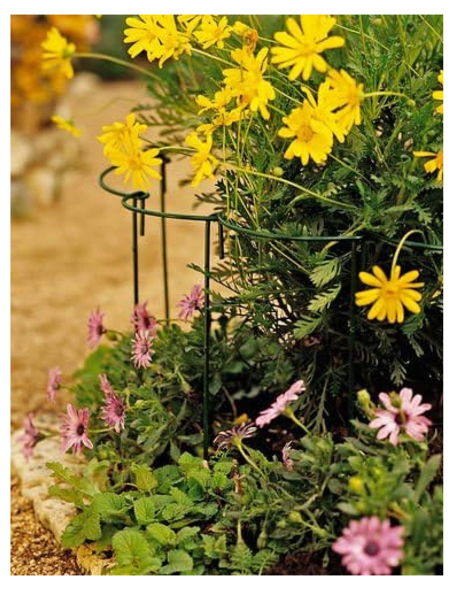 Small Curved Stakes, Set of 12 | Stands 18" High with 7" Curved Arm ...