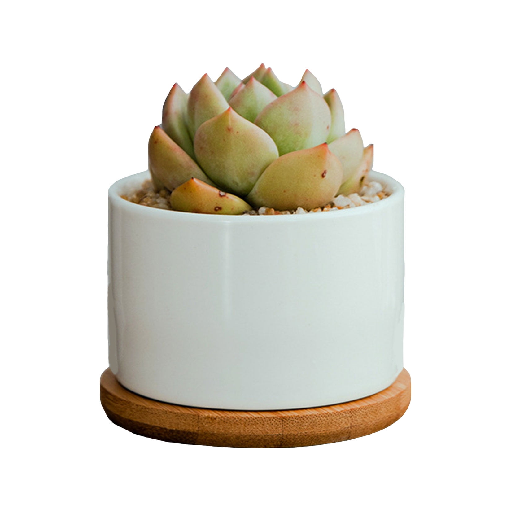 Small Cute Flower Pots Succulent Plant Holder Container - Ceramic ...
