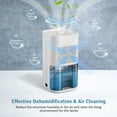 Small Dehumidifiers, 32oz Dehumidifier, Mini Dehumidifiers for Home ...