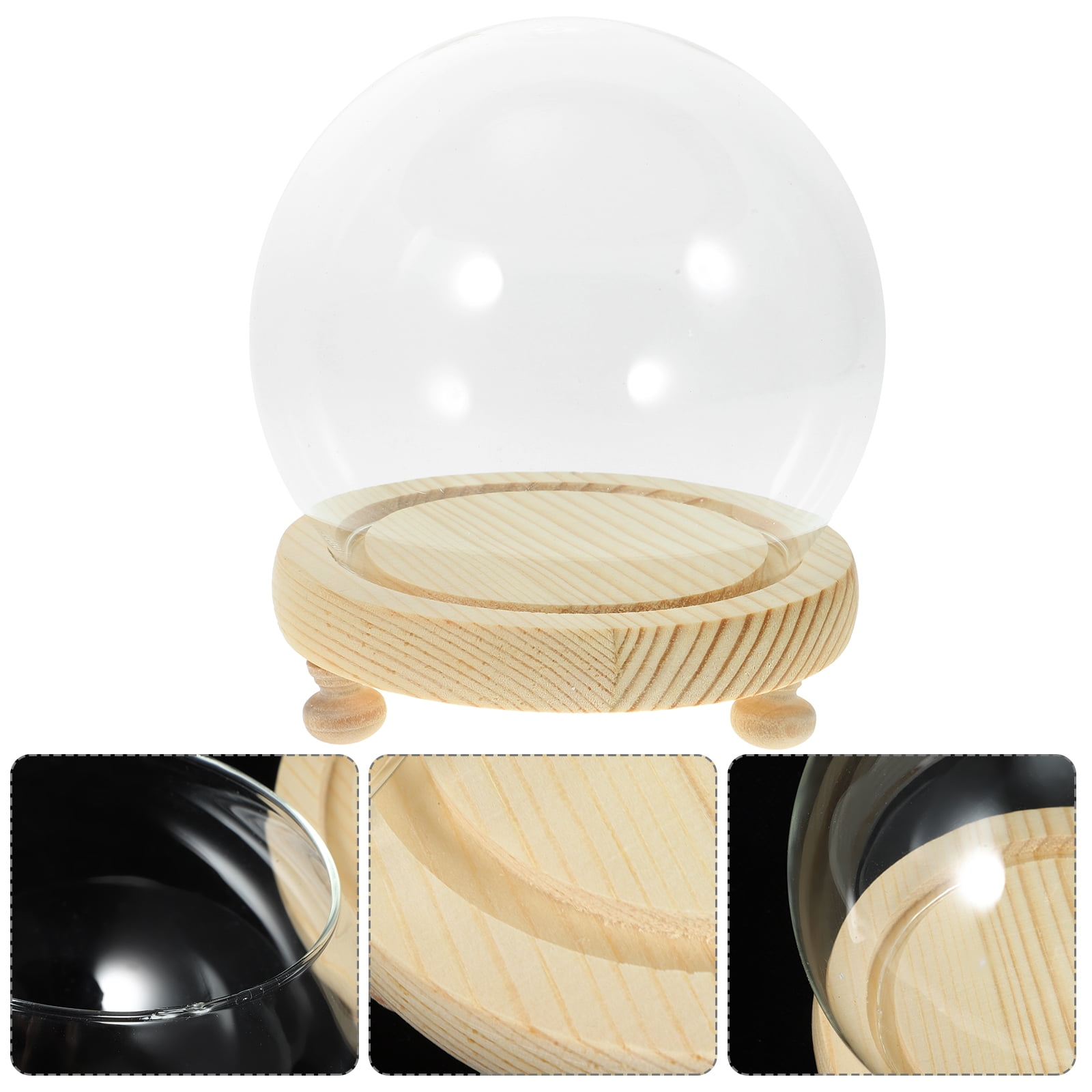 Etereauty Small Miniature Glass Display Dome, Round Plant Dome Glass ...