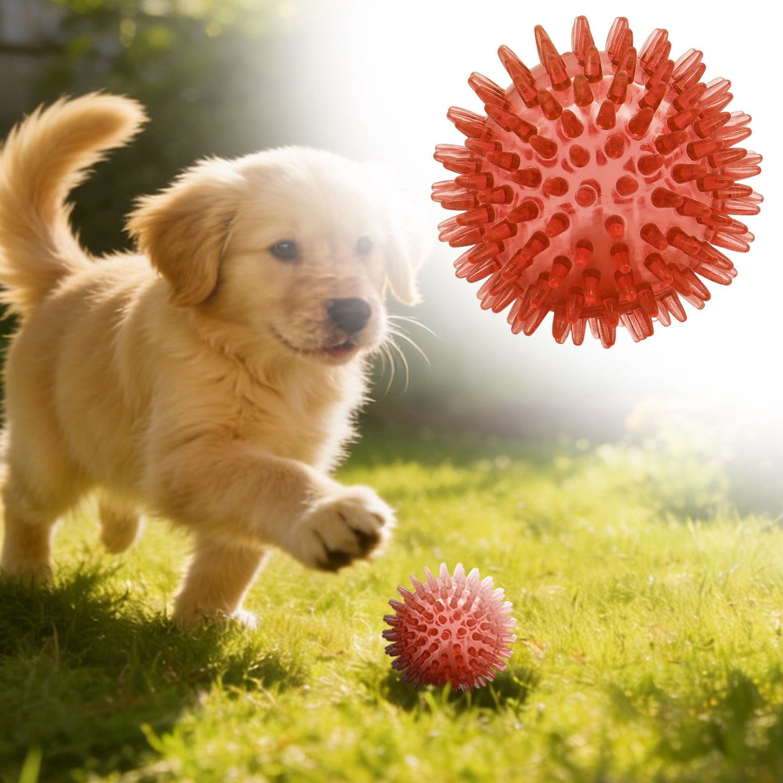 Small Dog Balls Spiky Teething Chew Toys For Small Dogs Puppies ...