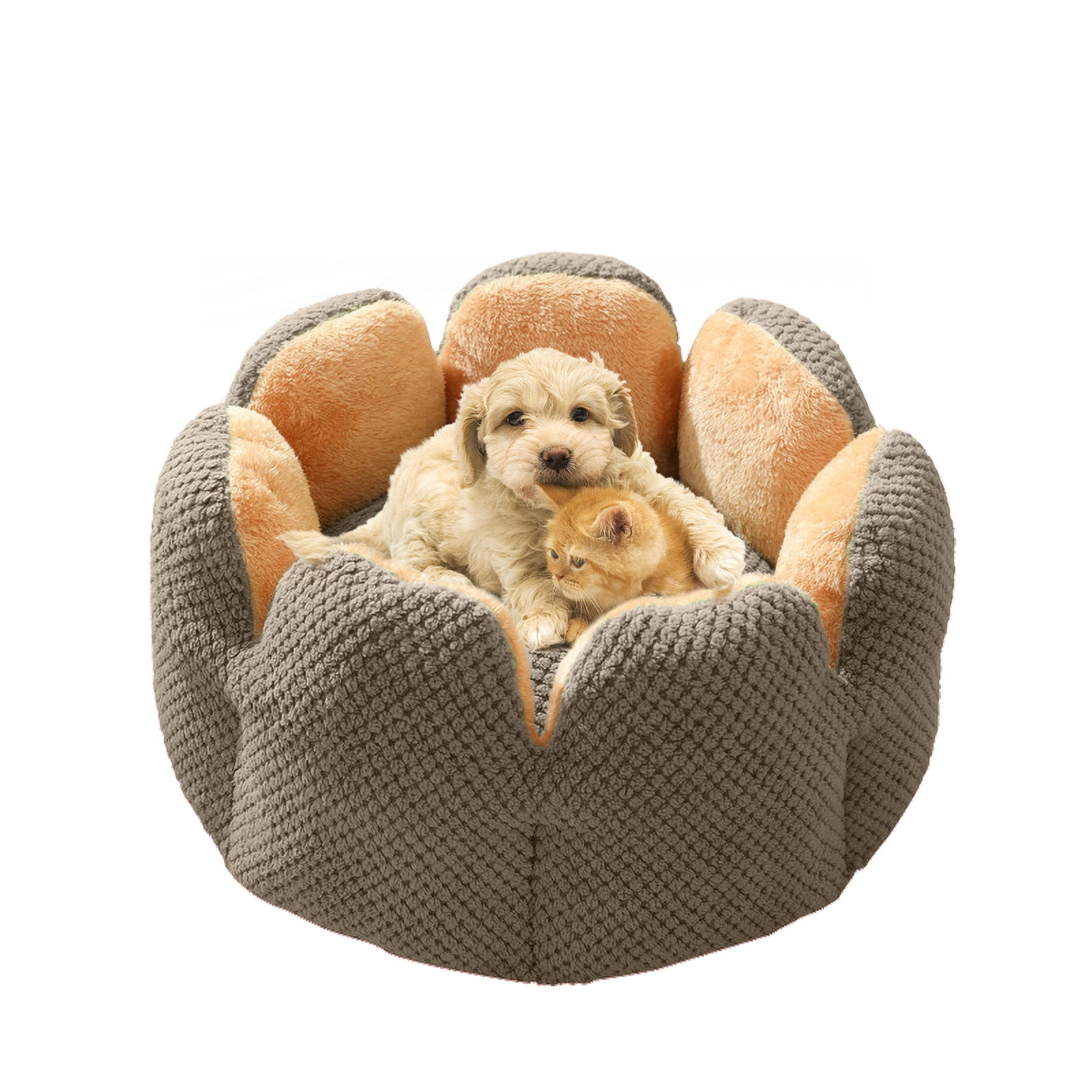 Small Dog Bed Cat Bed with Hooded Blanket, Luxury Puppy Pet Bed, Round ...