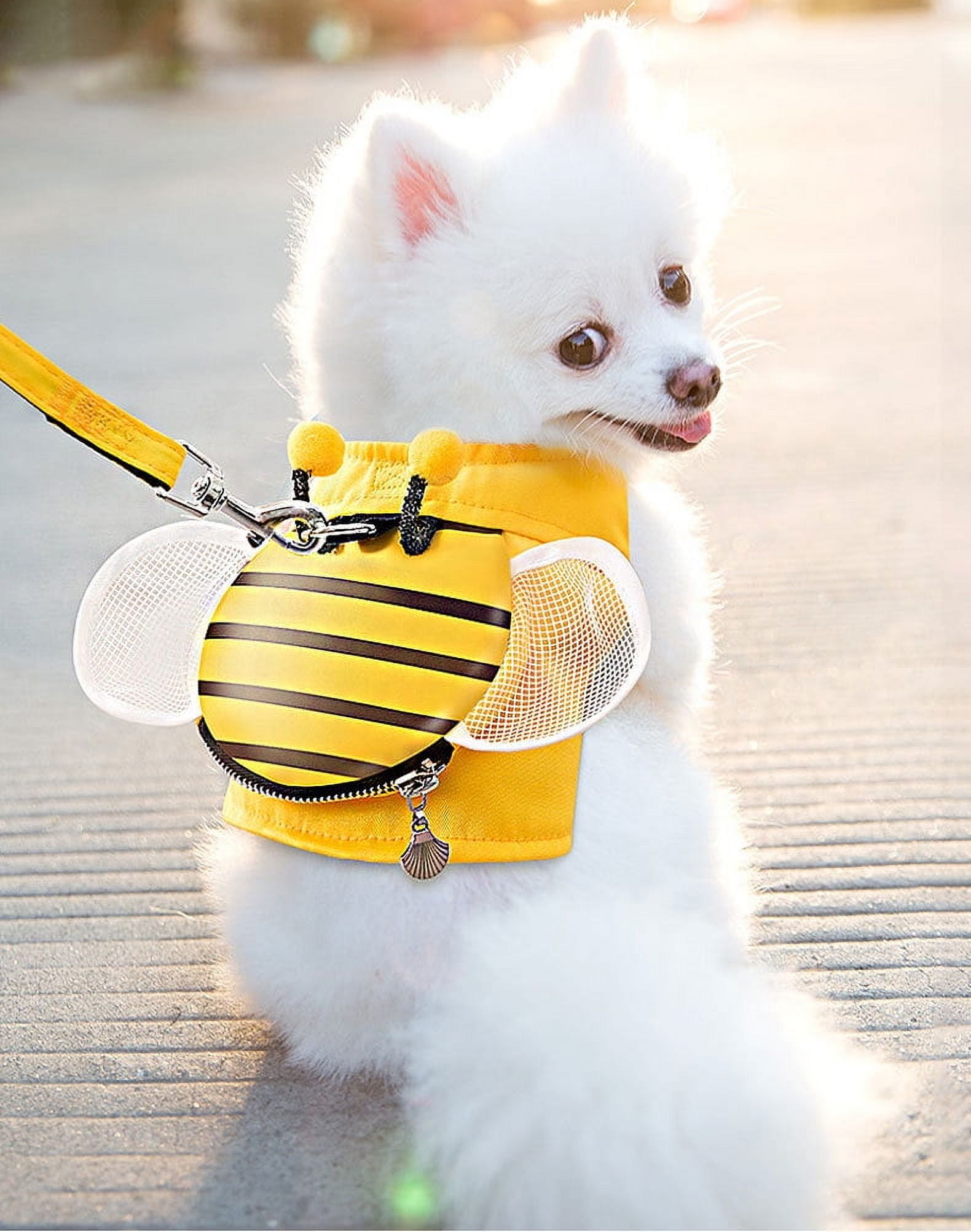 Small Dog Bee Harness and Leash Set Cat Bee Costume Pet Funny Walking ...