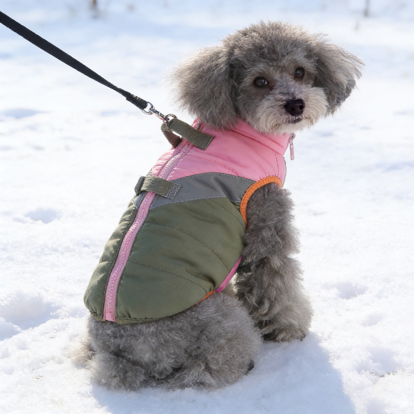Small Dog Coat,Dog Jackets for Small Dogs,Warm Winter Jacket, Puppy ...