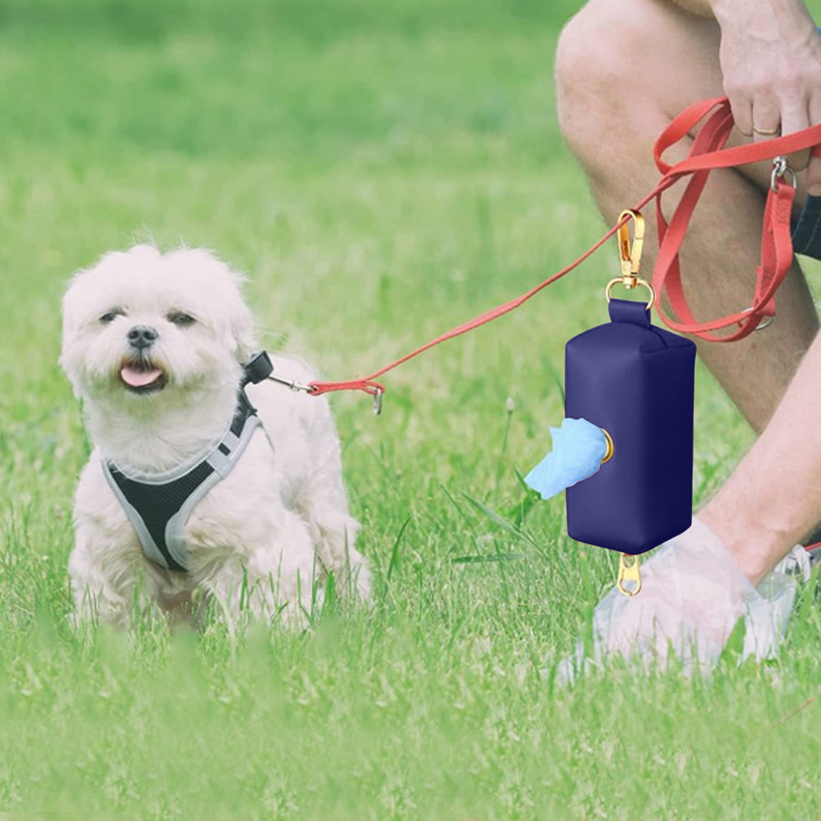 Small Dog Crates for Puppies 10-20 Pounds Indoor Backyard Dog Poop ...