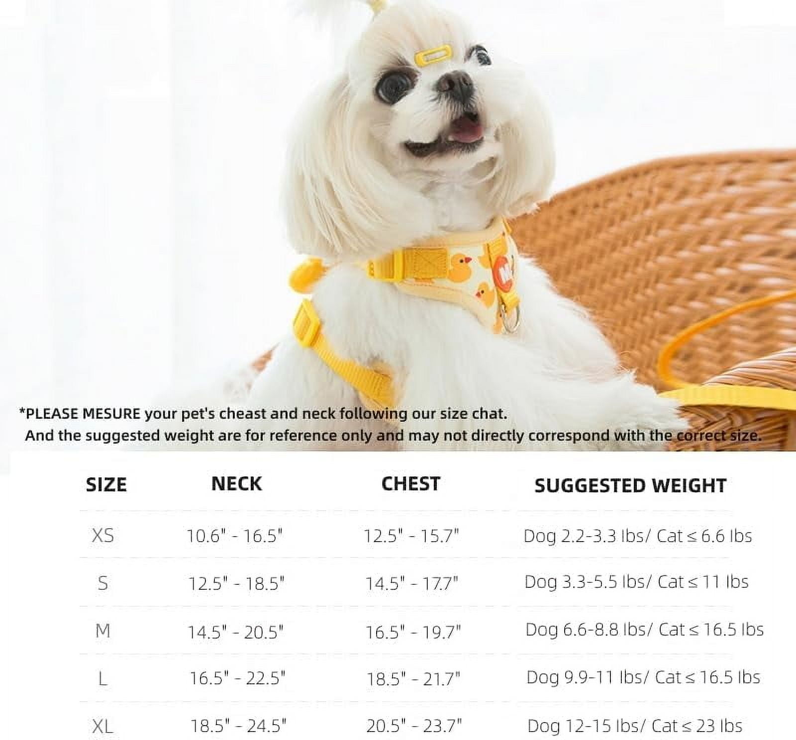 Small Dog Harness and Leash Set, Four-Point Adjustable Soft Mesh Dog ...