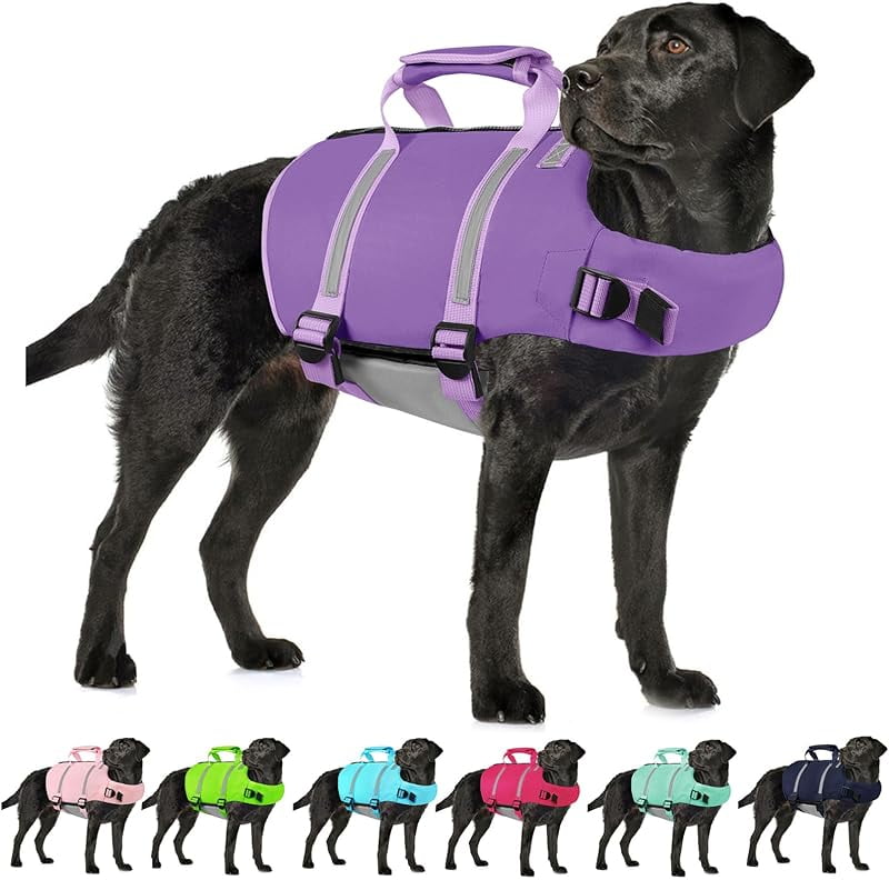 Small Dog Life Jacket, High Buoyancy Dog Life Vest for Swimming, XS ...