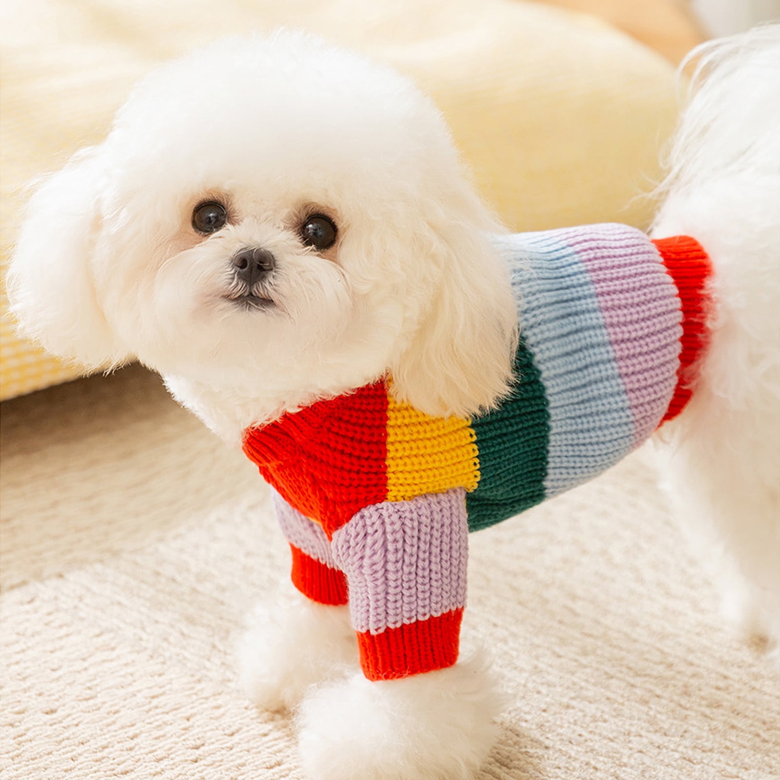 Small Dog Sweaters, Dog Sweaters for Medium Dogs Girls Boys, Turtleneck ...