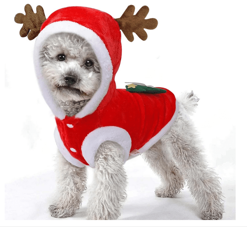 Small Dogs Cats Elk Coat Christmas Peta Clothes Outfits Red Christmas ...