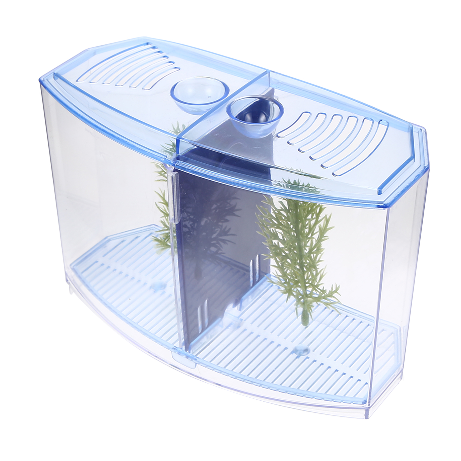 Mini Plastic Fish Tank Fish Breeding Box Desktop Transparent Fish Tank ...