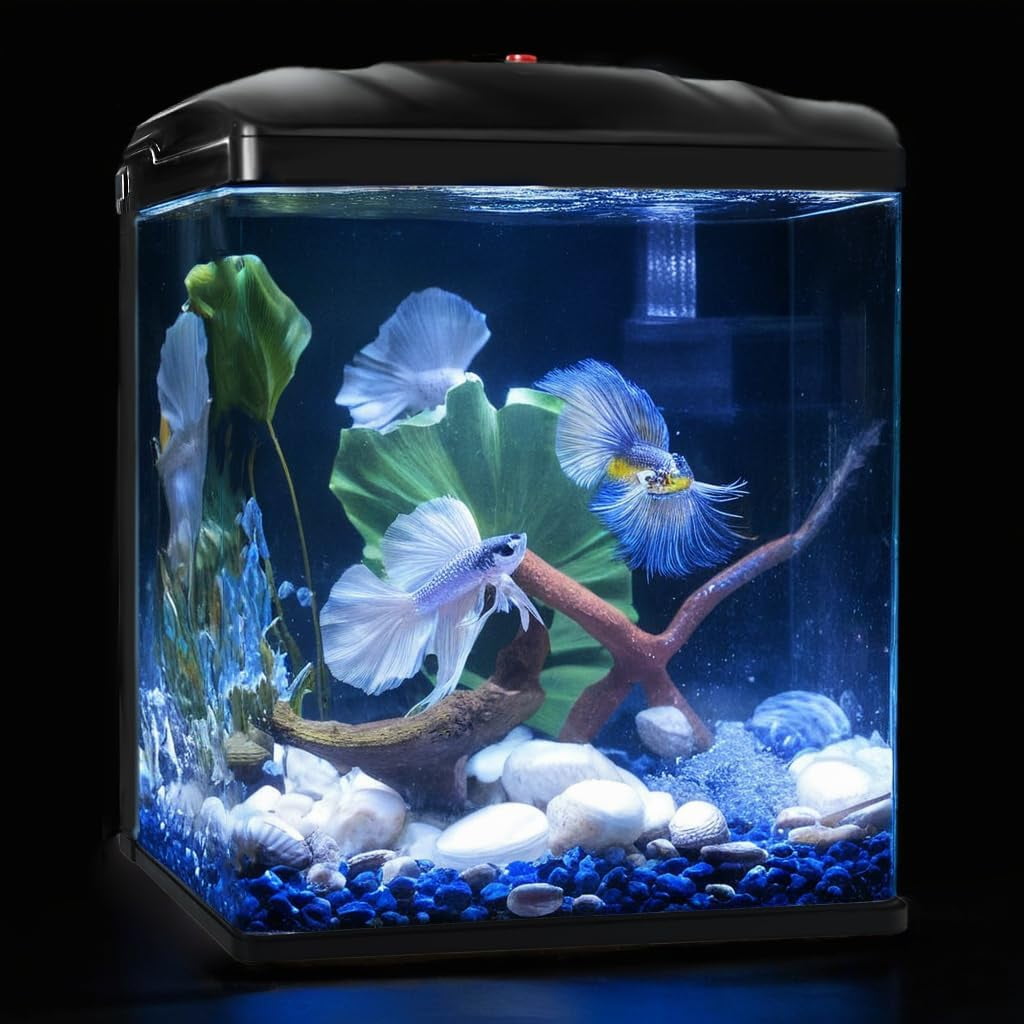Small Fish Tank, 2 Gallon Glass Aquarium, Betta Fish Shrimp Goldfish ...