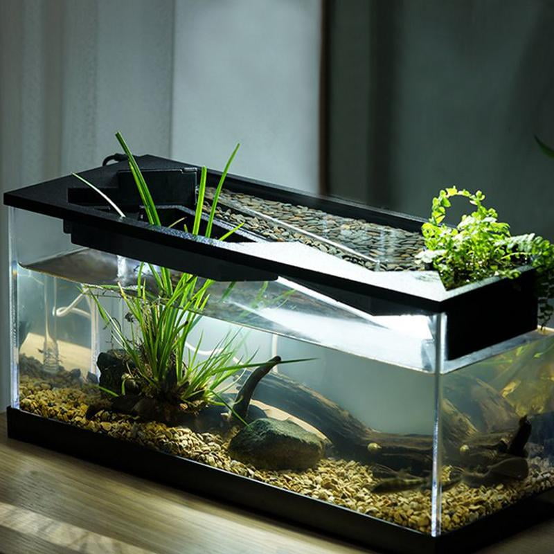 Small Fish Tank For Desk – 3-Gallon Acrylic Aquarium With Filter & Air ...