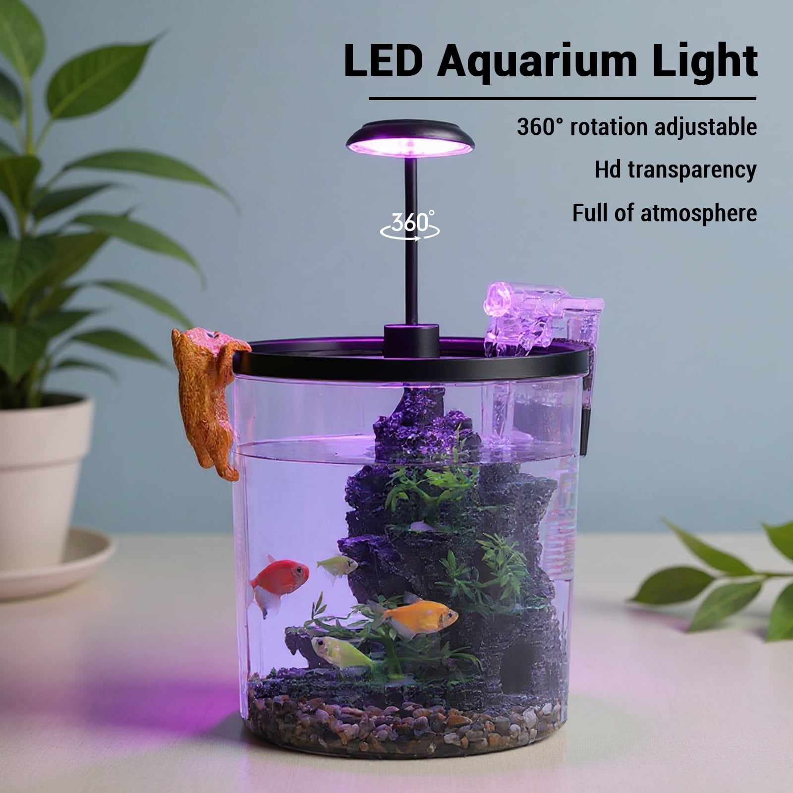 Small Fish Tank with Filter & LED Light, Desktop Aquarium Kit with ...