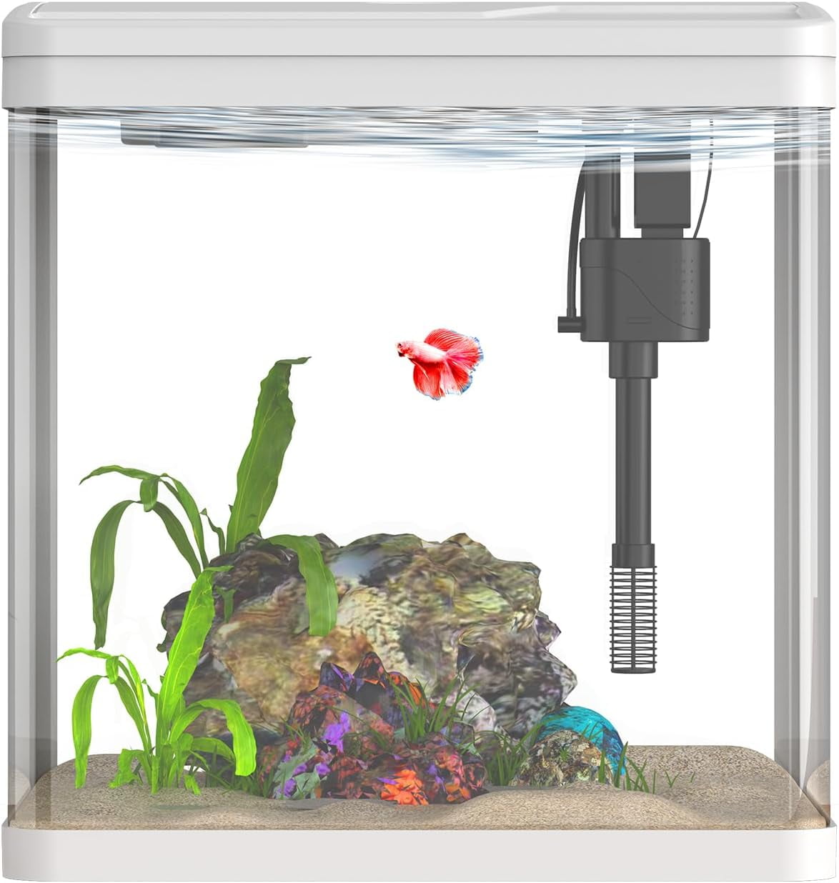 Small Fish Tank with Filter and Light, 2 Gallon Betta Fish Tank Starter ...