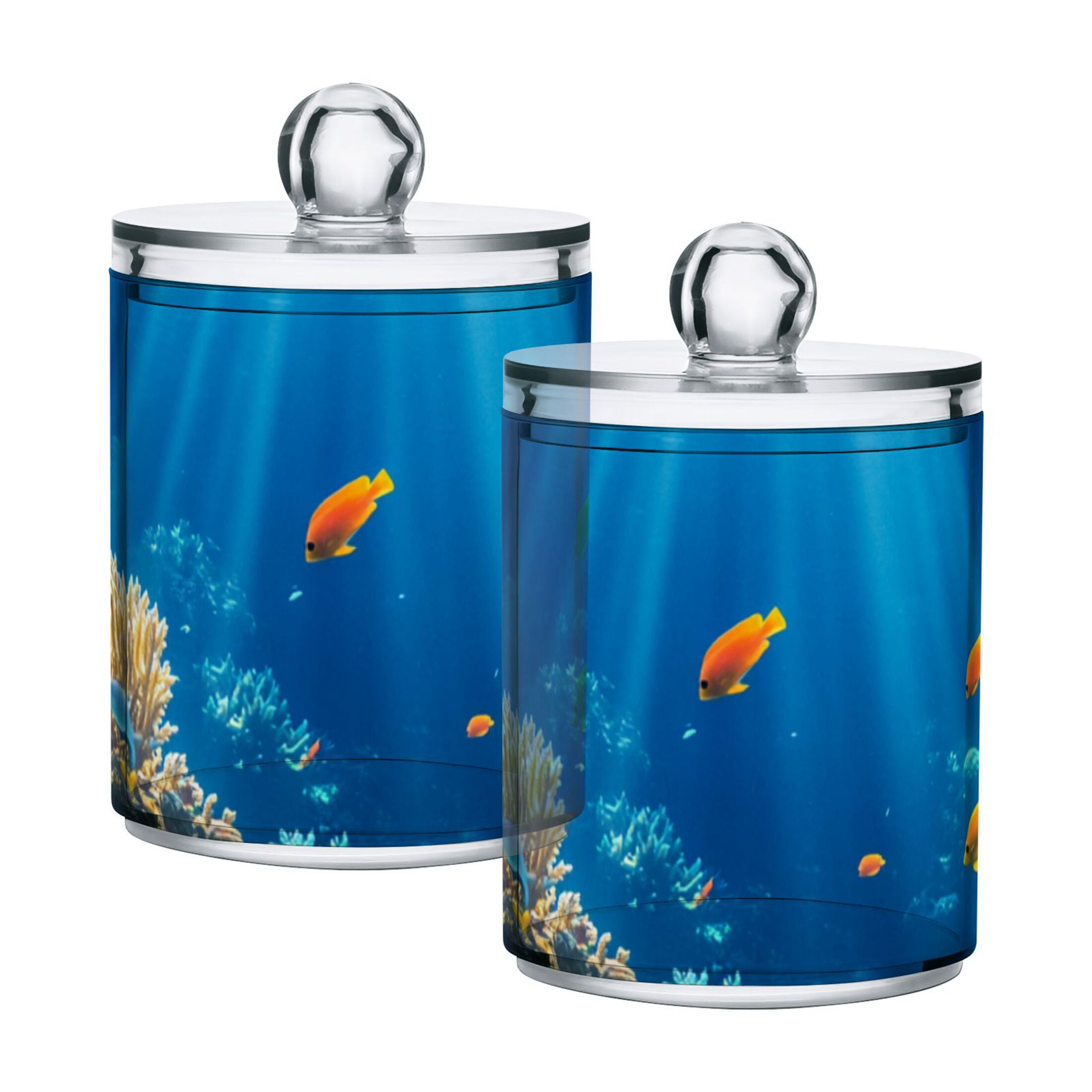 Small Fishes and Corals in Sea Translucent Plastic Cans Storage ...