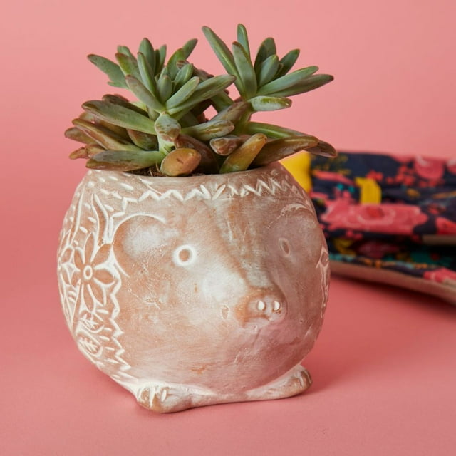 Small Floral Terracotta Hedgehog Pot - Walmart.com