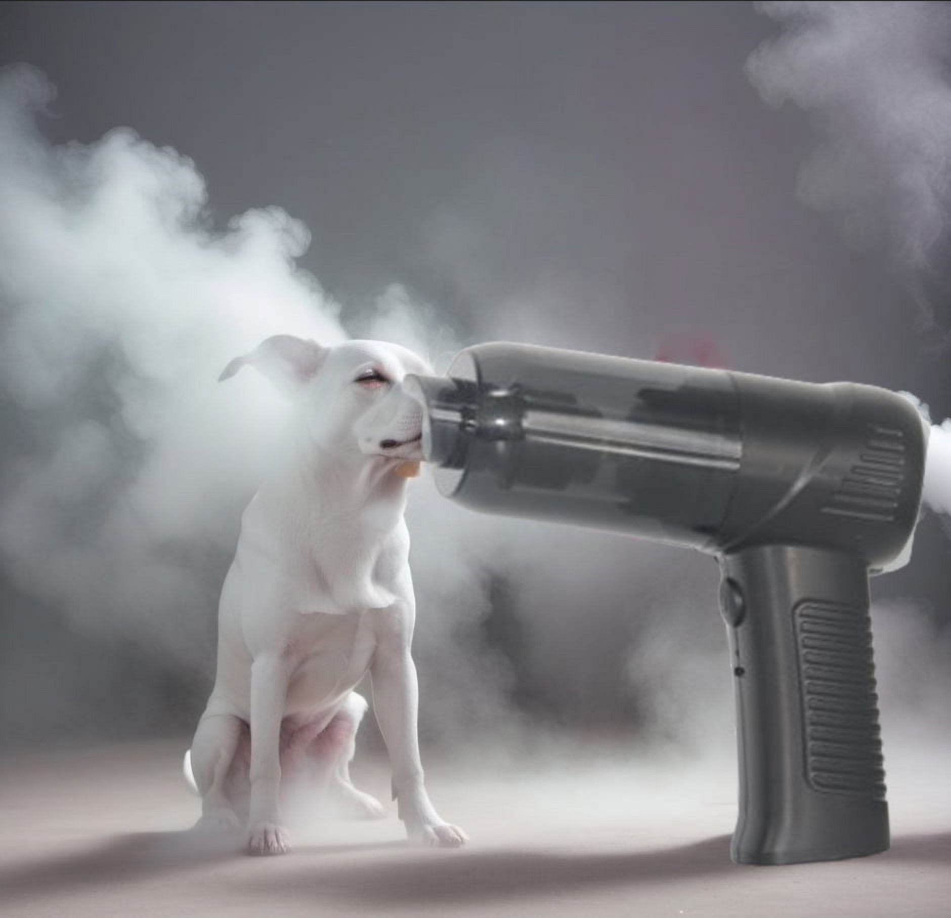 Small Fog Machine Smoke Machine with Remote Control Portable Hand-held ...