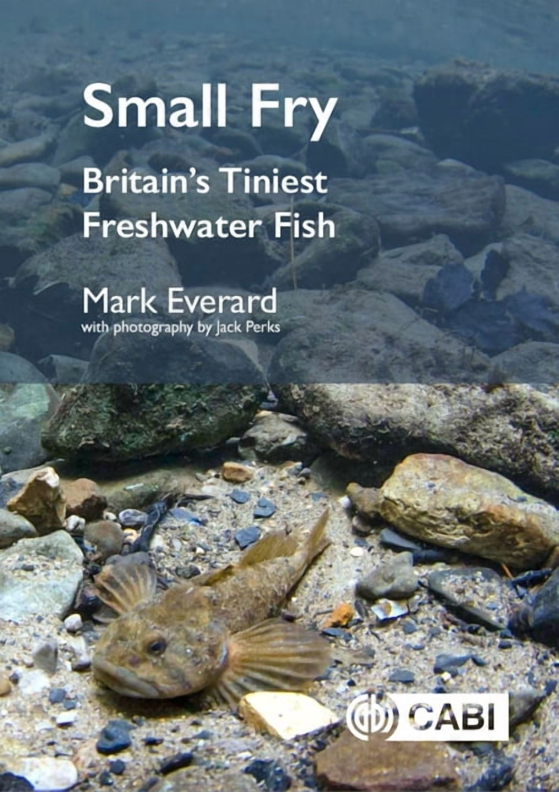 Small Fry: Britain's Tiniest Freshwater Fishes, (Paperback) - Walmart.com