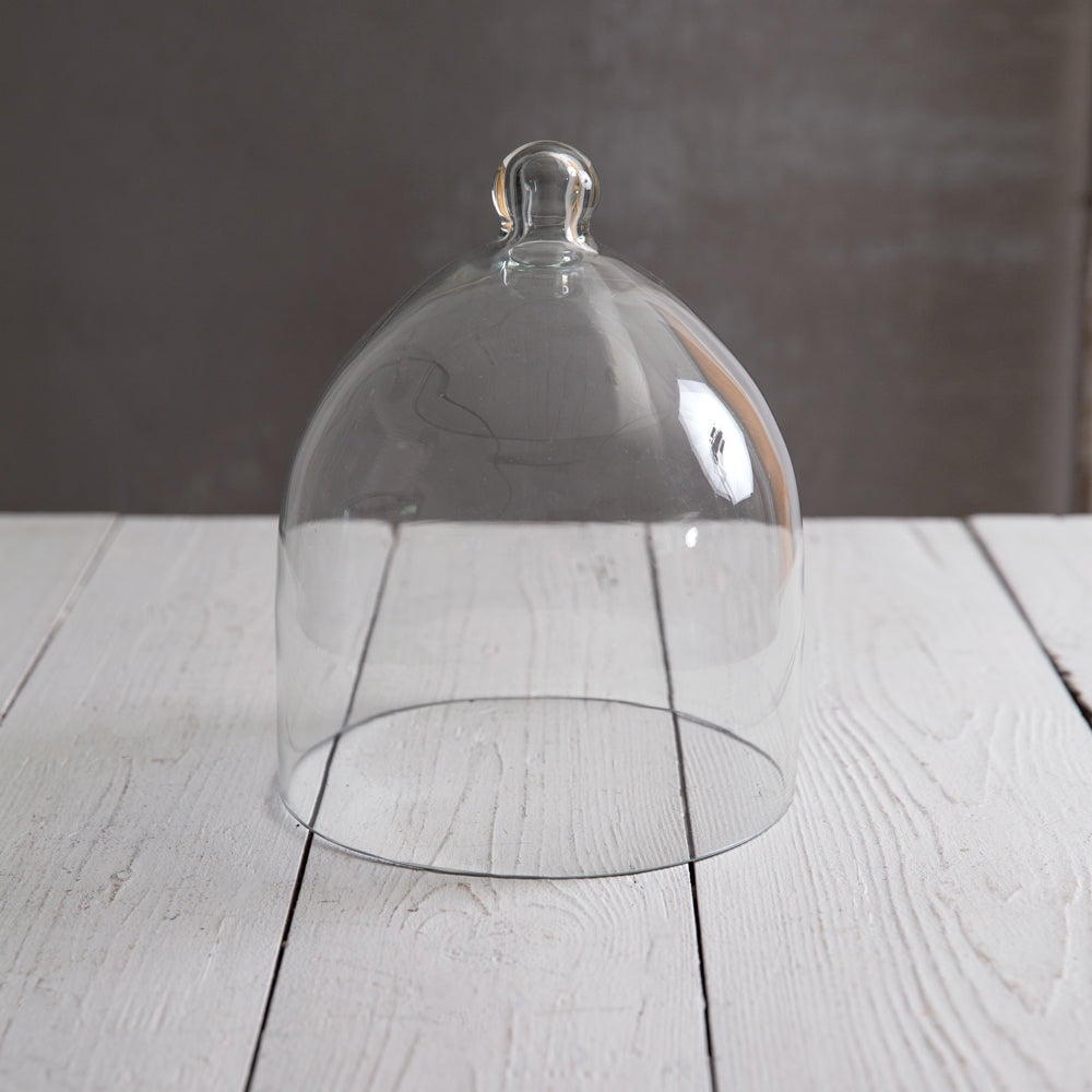Small Glass Bell Shaped Cloche - Walmart.com