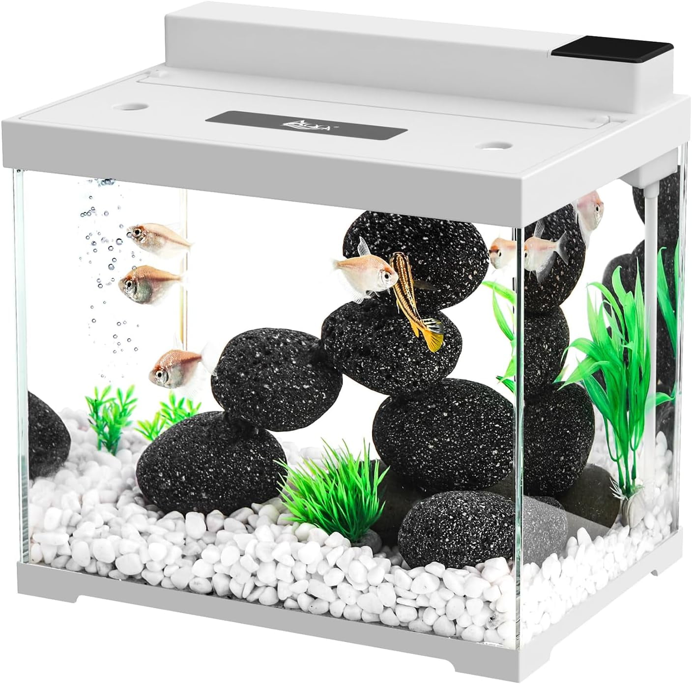 Small Glass Fish Tank，2.4 Gallon Self Cleaning Aquarium Starter Kits ...