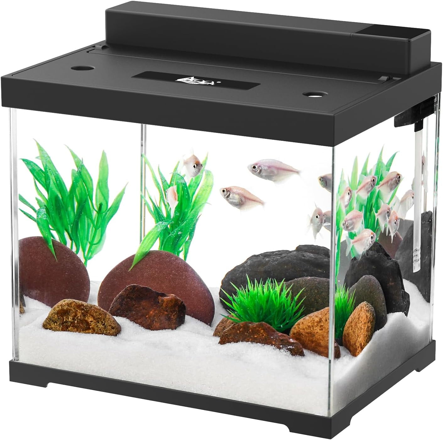 Small Glass Fish Tank，2.4 Gallon Self Cleaning Aquarium Starter Kits ...