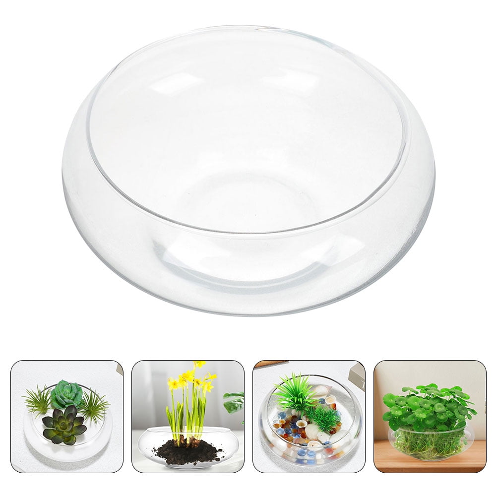 Small Glass Flowerpot Decorative Potted Planter Glass Planter Bonsai ...