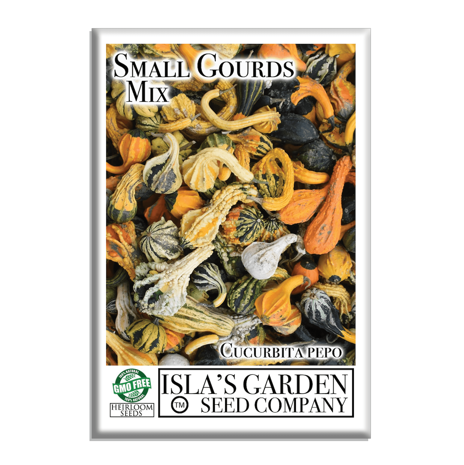 Small Gourd Squash Mix Seeds, 25+ Heirloom Seeds Per Packet, Non GMO ...