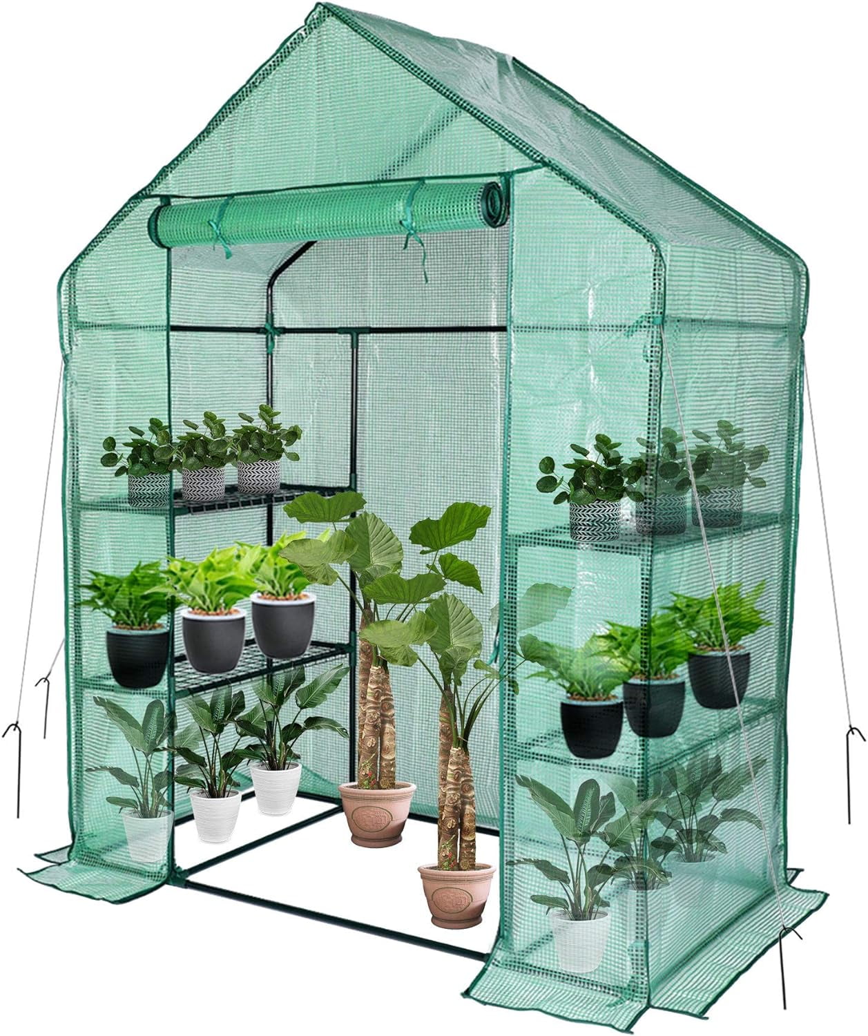 Small Greenhouse for Outdoors,56 x 30 x 76''Mini Walk in Green House ...