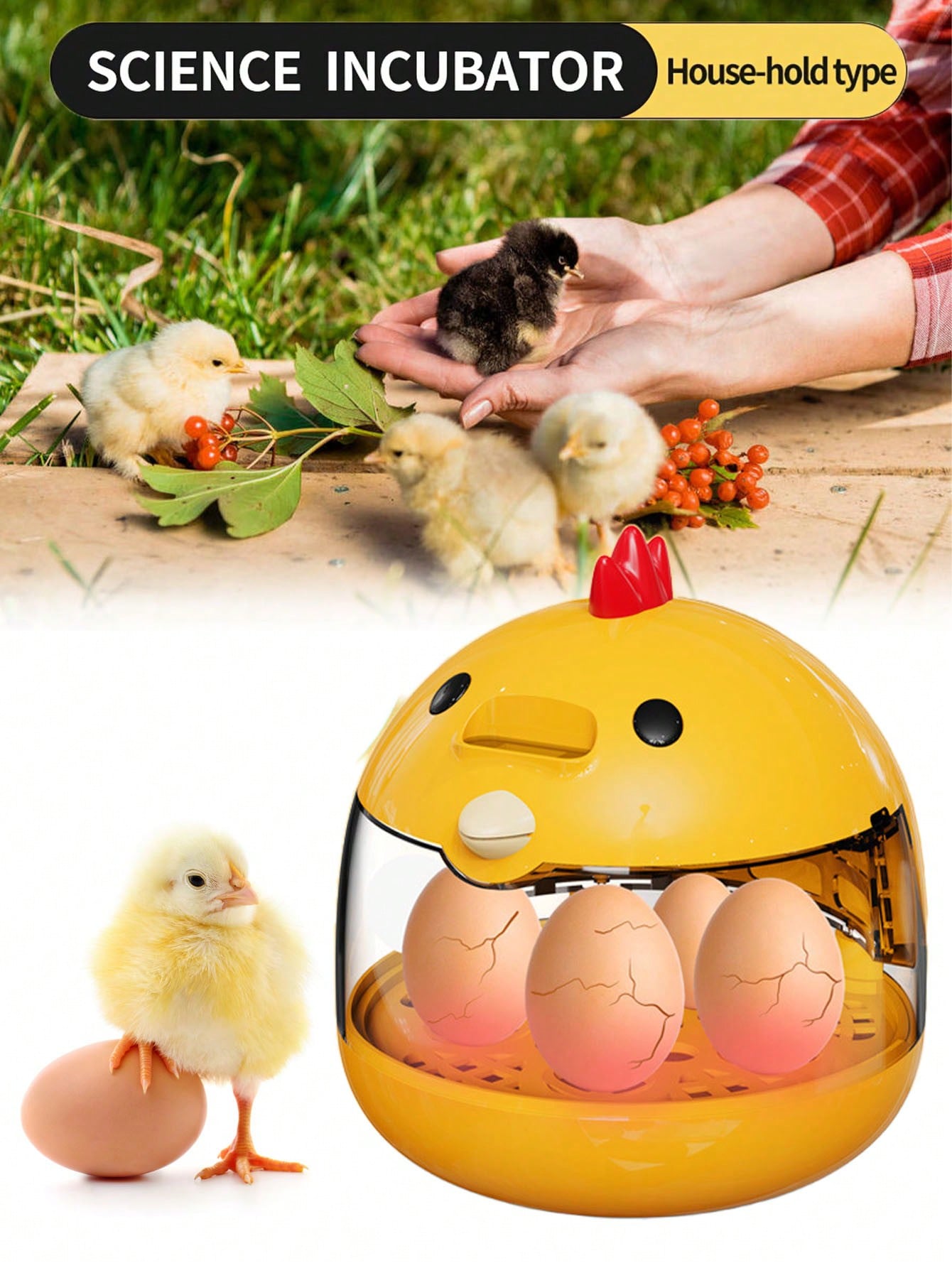 Small Household Egg Incubator with Temperature Display – Fits 5 Eggs ...