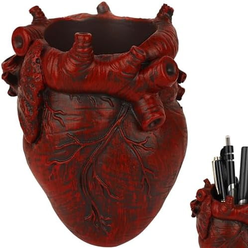 Small Human Heart Organ Shape Pen Holder, Realistic Human Heart Pen ...
