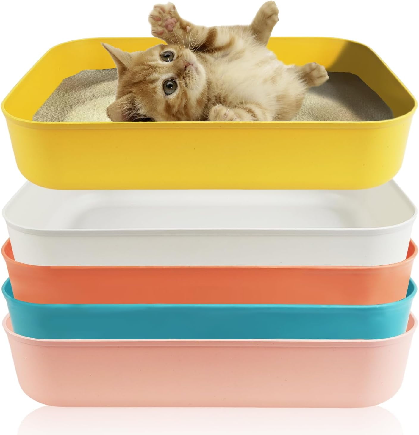 Small Litter Box, Plastic Kitten Litter Box, 13.9 x 9.8 x 3 Inch Open ...