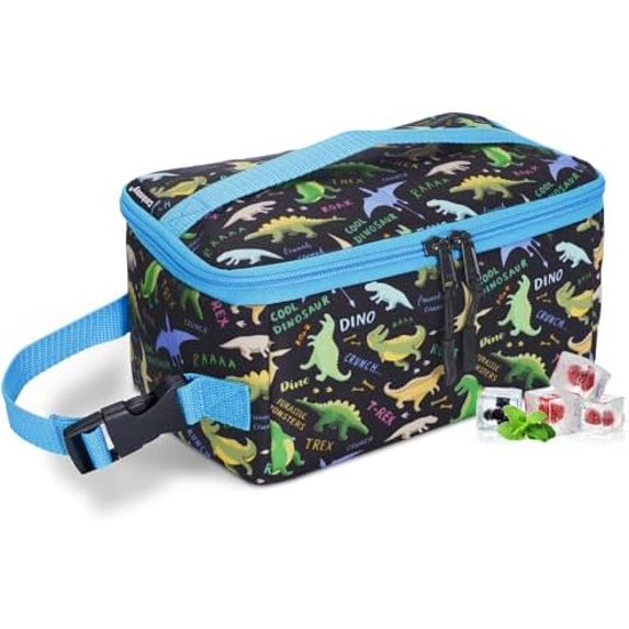 Small Lunch Box for Adult, Mini Cooler with Buckle Handle, Insulated ...