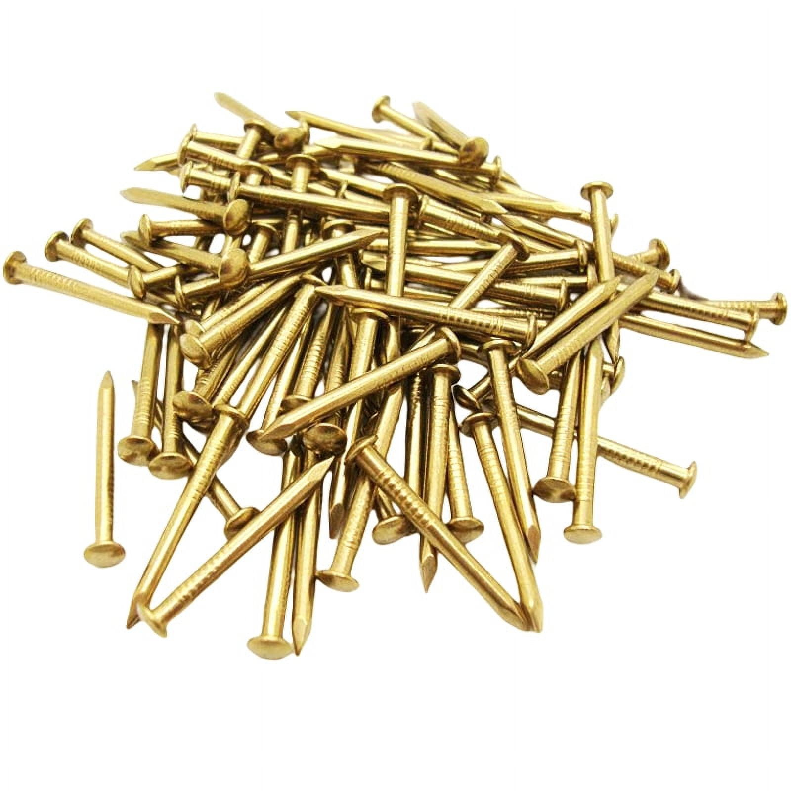 Small Mini Brass Round Head Nail M1.2x8mmx2.5mm (About 239pcs ...