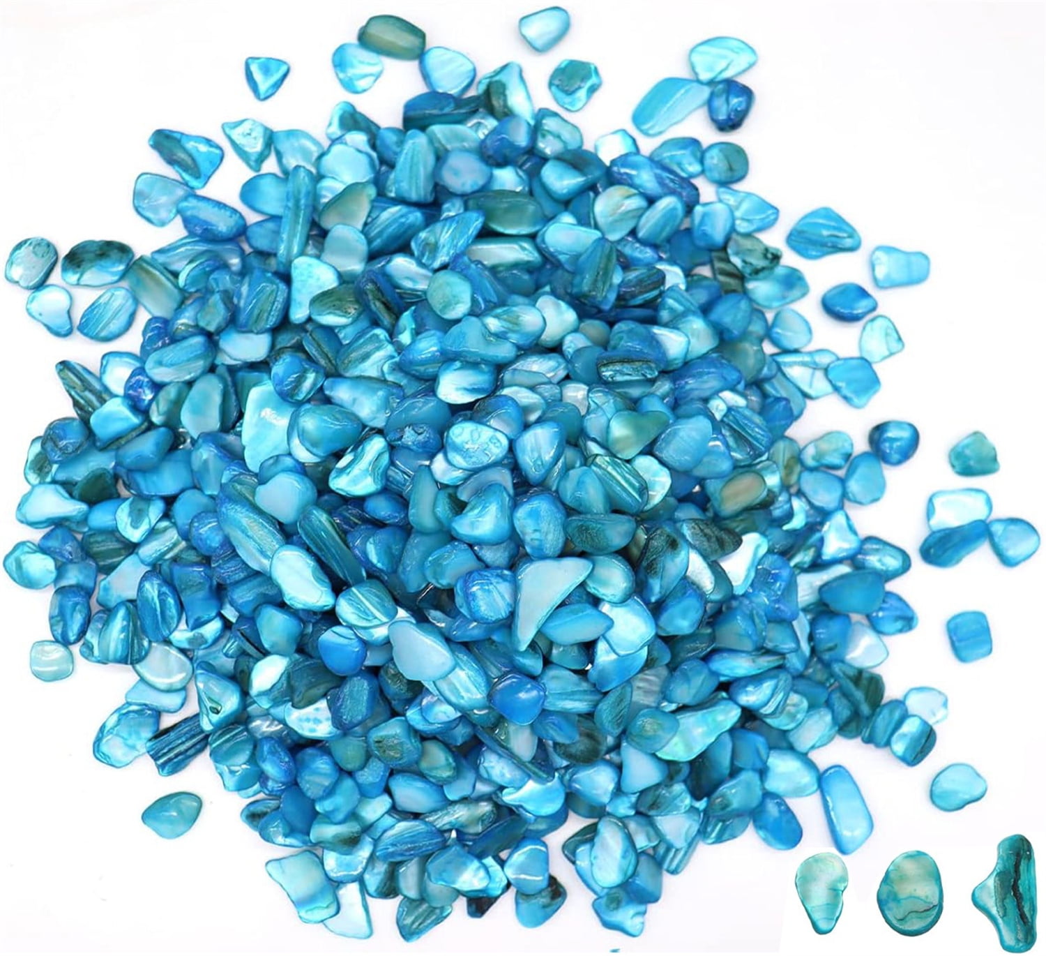 Small Natural Crushed Shells,Bexikou Irregular Crushed Shells for ...