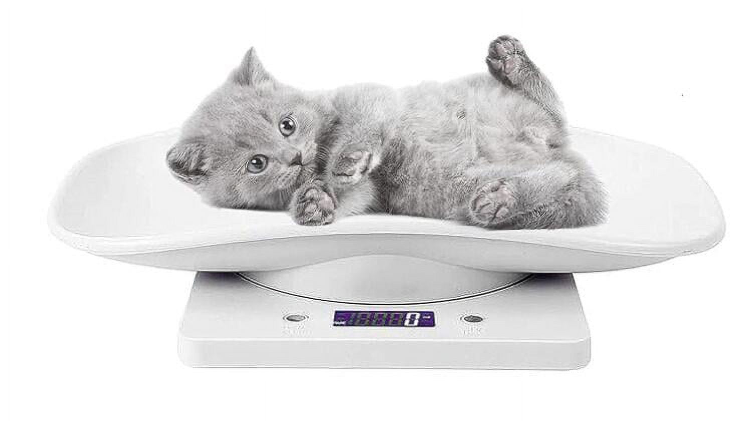 Small Pet Digital Scale Puppy Kitten Weight Measuring Scale Multi-use ...