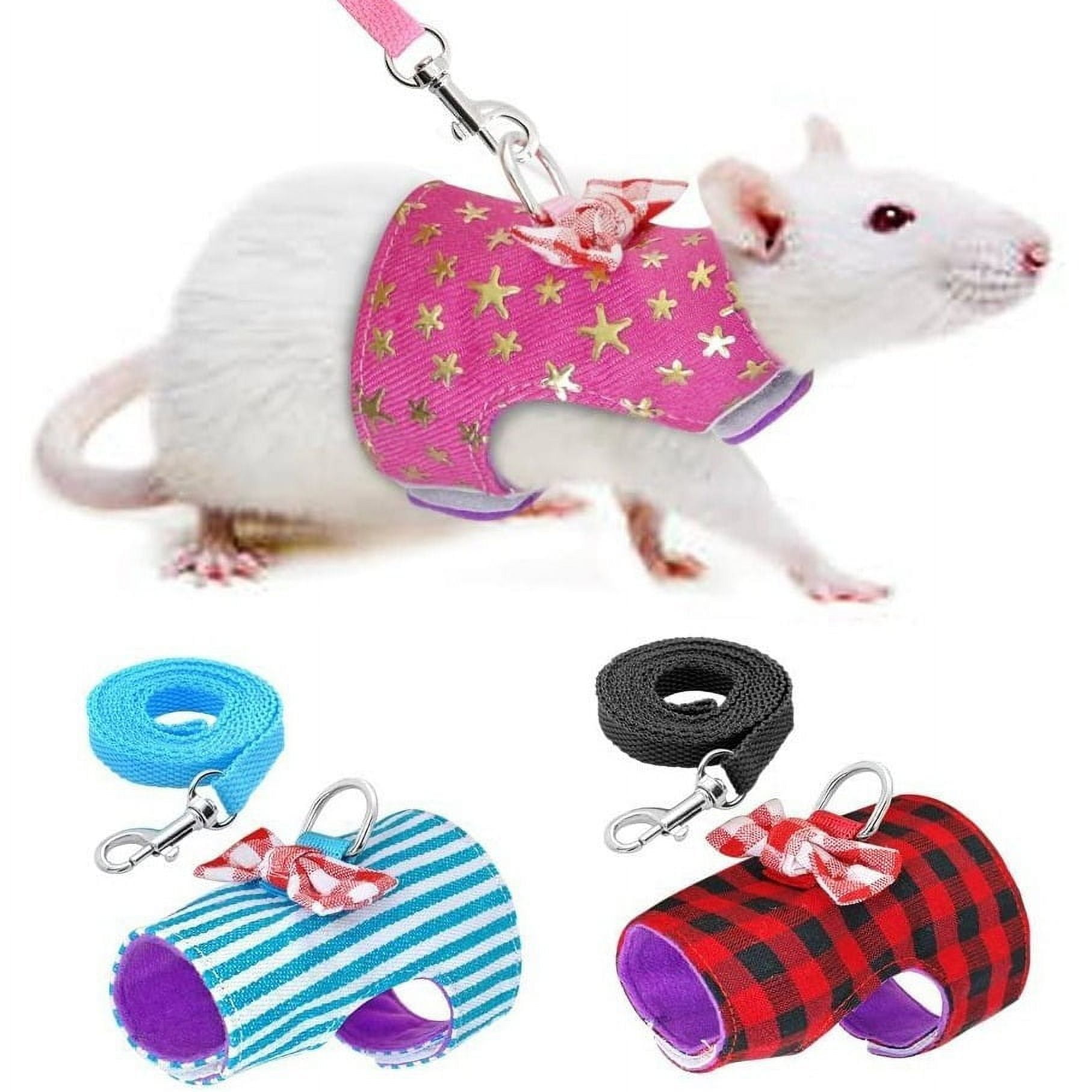 Small Pet Outdoor Walking Harness Vest and Leash Set with Cute Bowknot ...