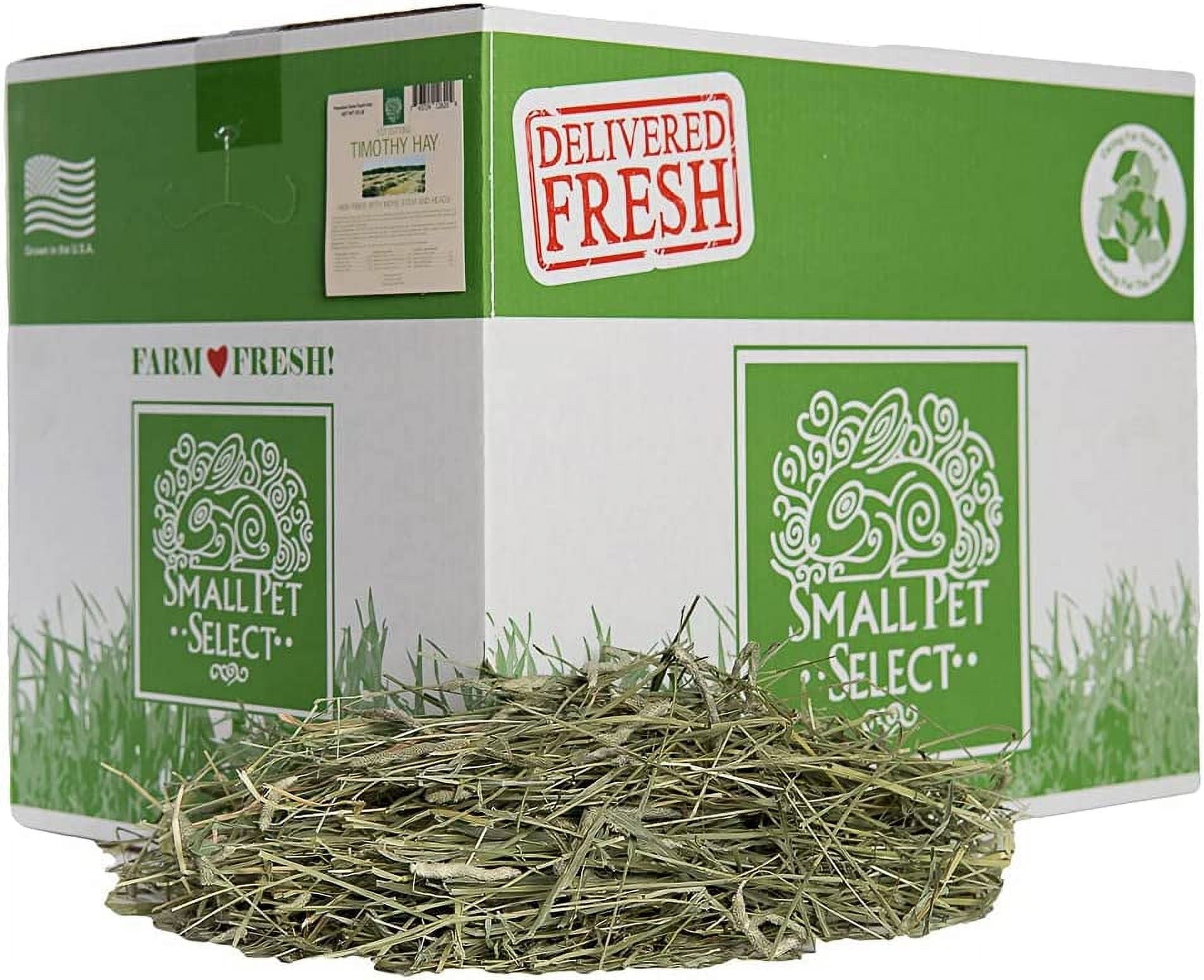 Small Pet Select 1st Cut Timothy Hay Pet Food for Rabbits, Guinea Pigs ...
