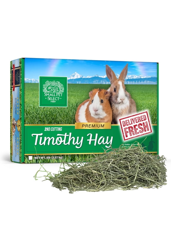 Timothy Hay in Small Pets - Walmart.com