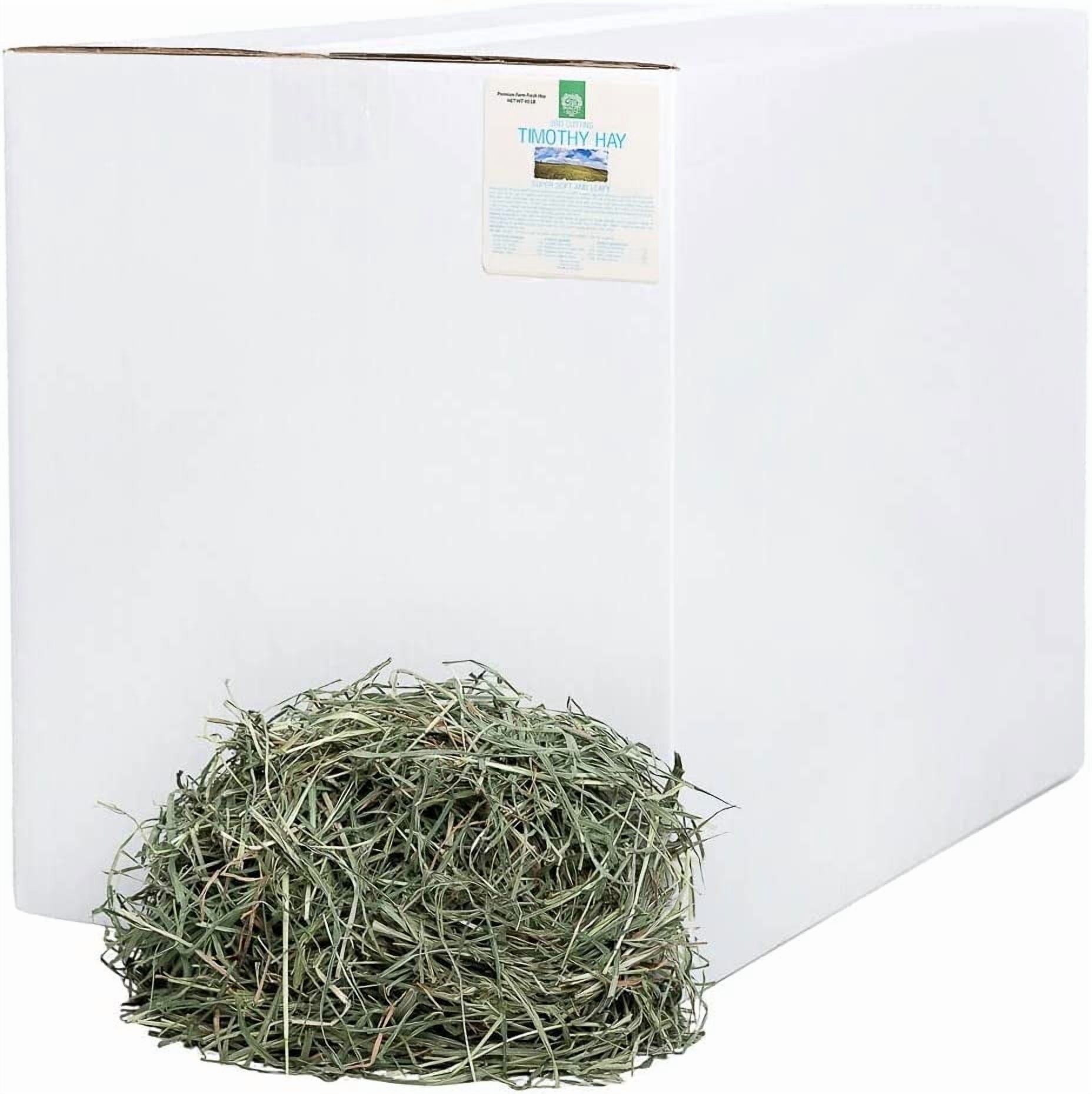 Small Pet Select 3rd Cutting Super Soft Timothy Hay Pet Food for Picky ...