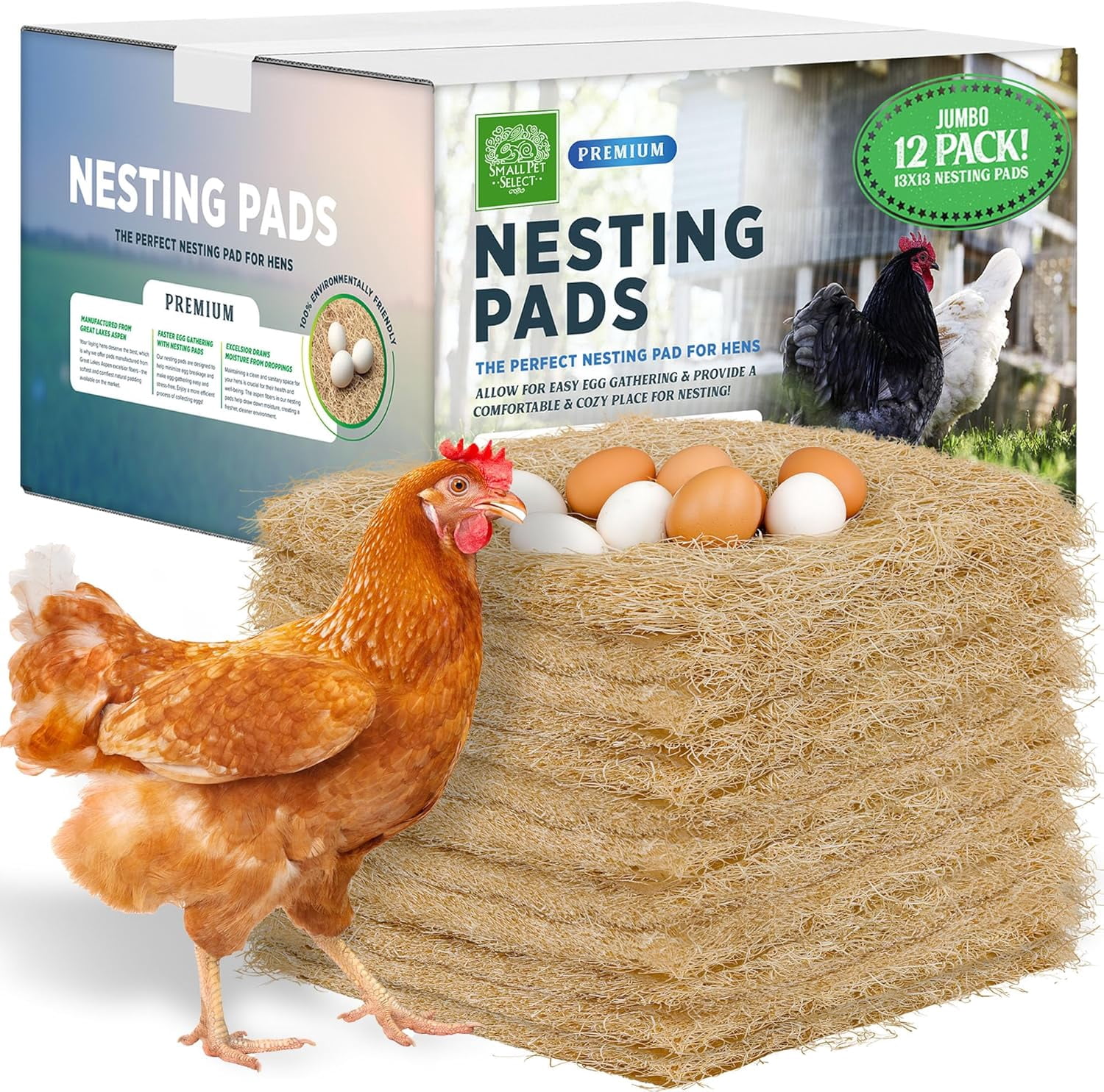 Small Pet Select - Chicken Nesting Box, 15x15x11, for Hens Laying Eggs ...