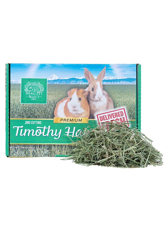Rabbit Food in Rabbits - Walmart.com