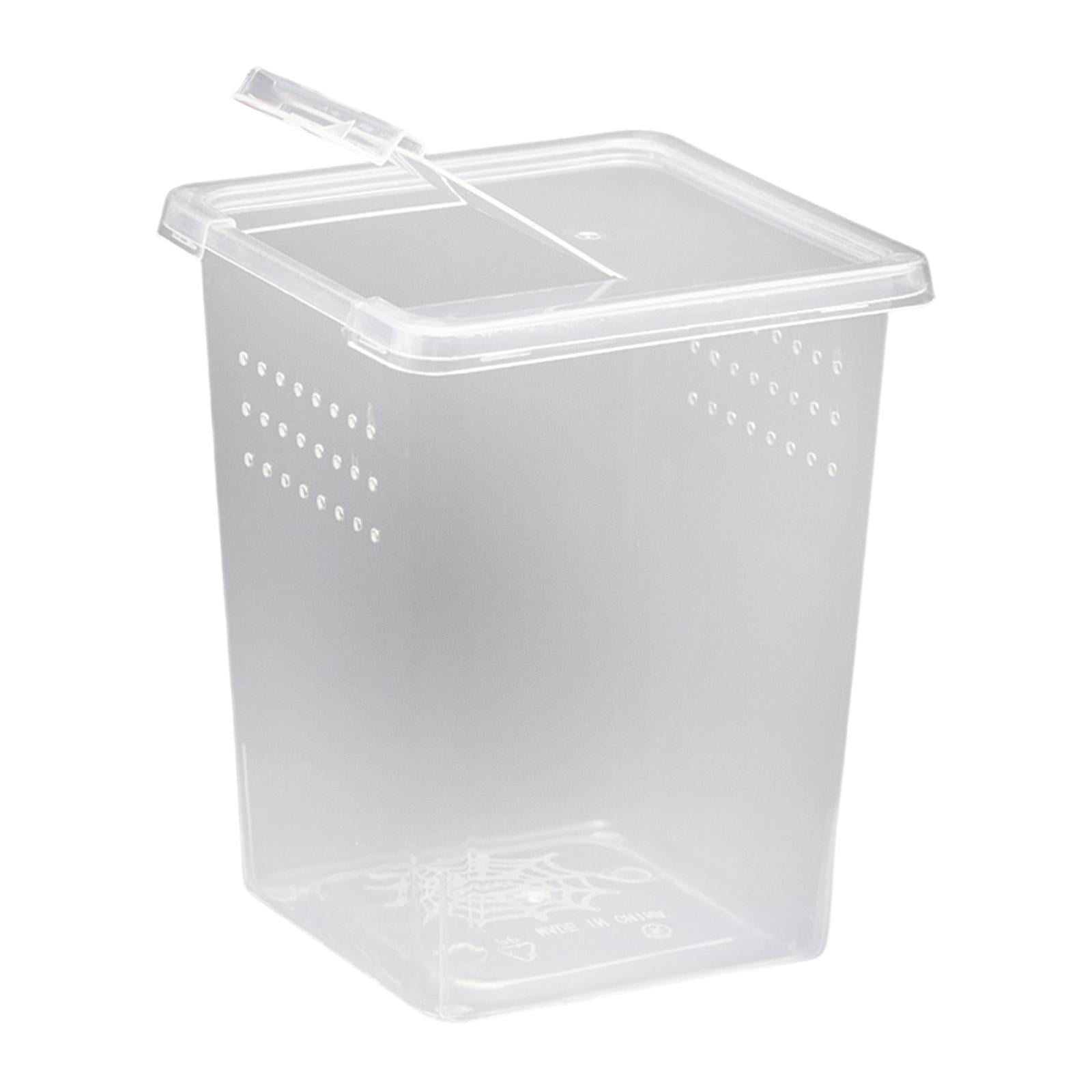 Small Pet Terrarium Turtle Transport Container Spider Enclosure ...
